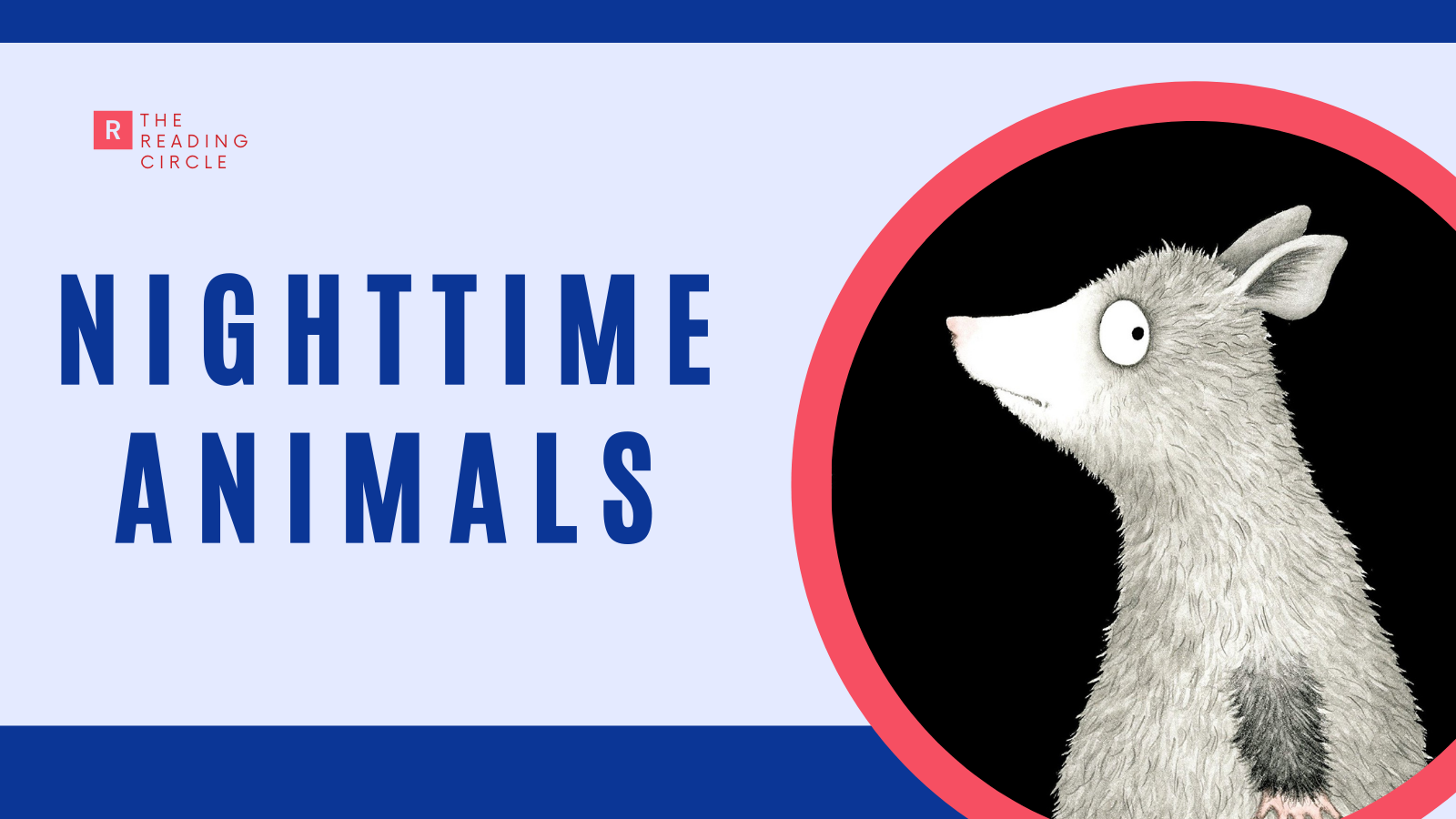 Book List: Nighttime Animals – The Reading Circle